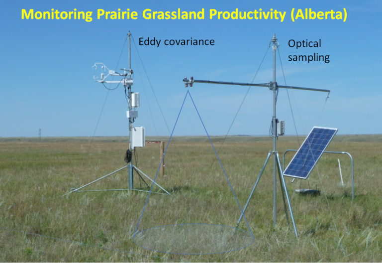 Monitoring Prairie Grassland Productivity – GamonLab