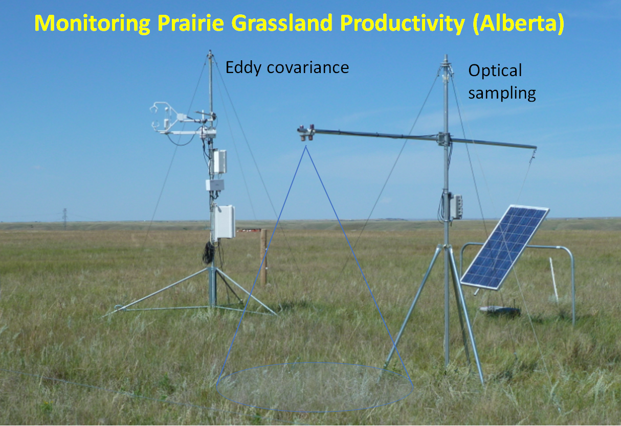 Monitoring Prairie Grassland Productivity – GamonLab